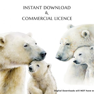 Mom and Baby Polar Bear Clipart, 9 High Quality Pngs, Watercolor Cute ...