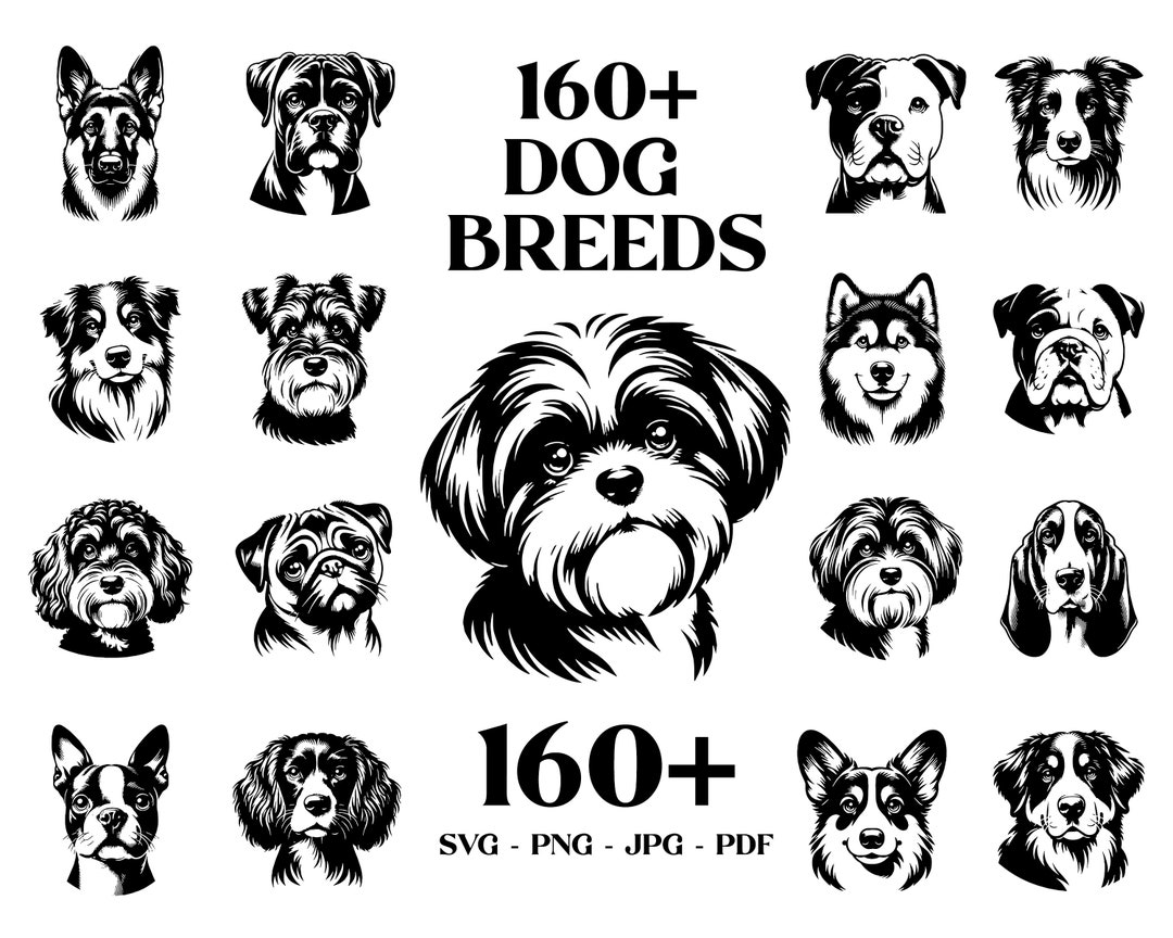 Dog SVG Bundle: 160+ Breeds Clipart (digital Download) - Etsy