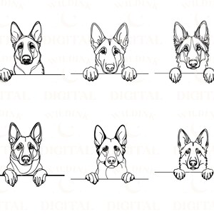 Dutch Shepherd SVG & PNG Clipart Bundle: Digital Line Art, Minimalist ...