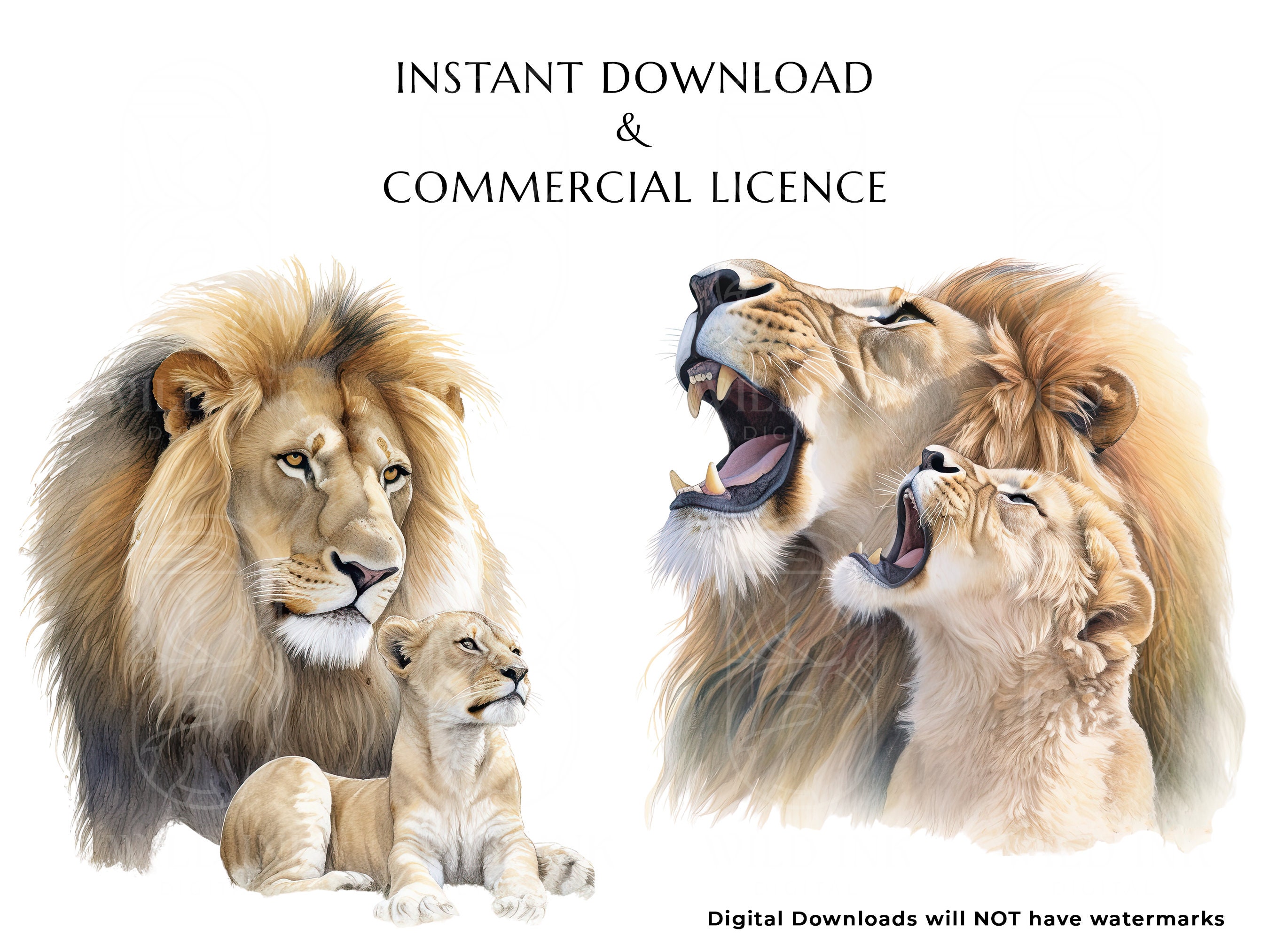 Dad Lion & Cub Father and Baby Lion Print 10 High Quality - Etsy