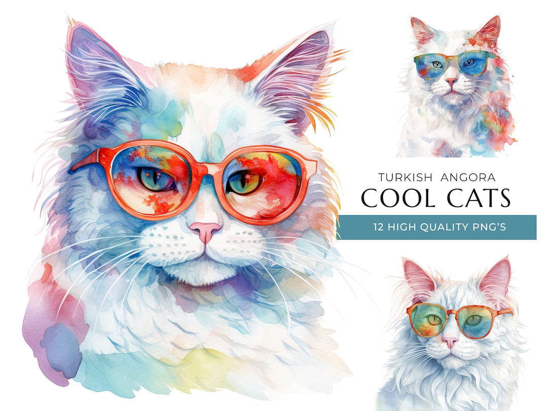 Cool Cats Watercolor Clipart, 12 High Quality Pngs, Funny Turkish ...
