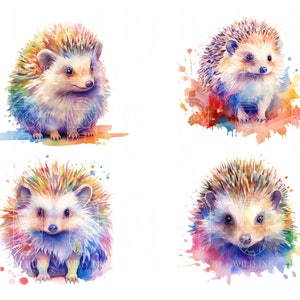Hedgehog Clipart - 8 High Quality Pngs & JPEG - Colorful Watercolor ...
