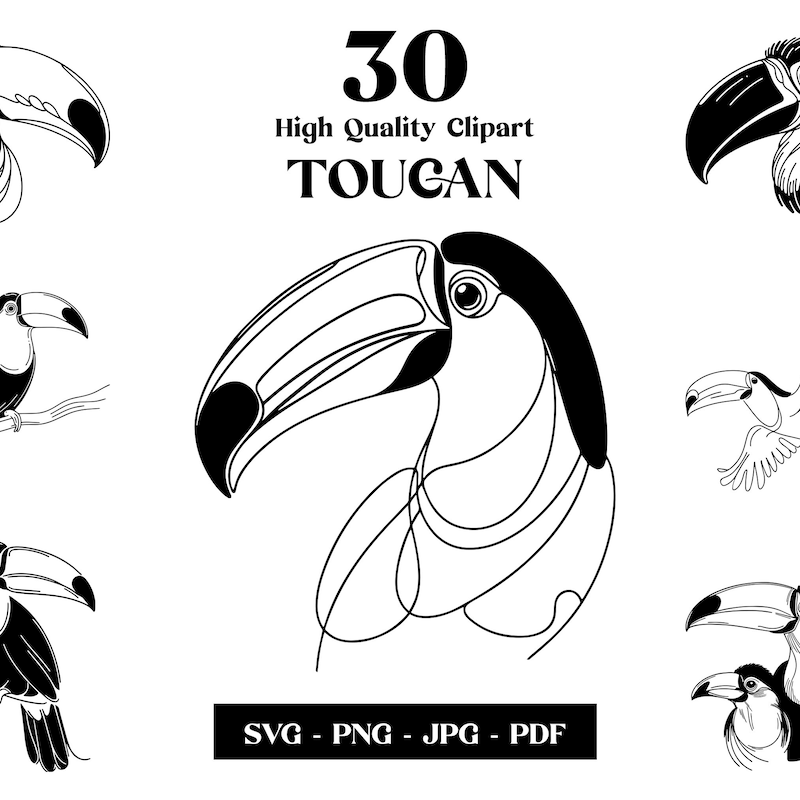 Toucan Svg - Etsy