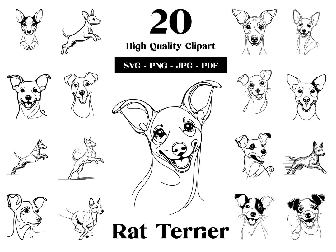 Rat Terrier SVG & PNG Clipart Bundle: Digital Line Art, Minimalist ...