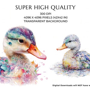 Baby Duck Watercolor Clipart 8 Pngs, Nursery Decor, Farm Theme Wall Art ...