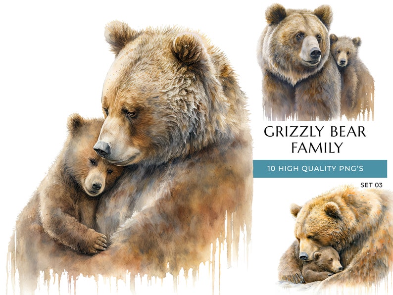 Mom and Baby Bear Clipart 10 High Quality Pngs Watercolor - Etsy