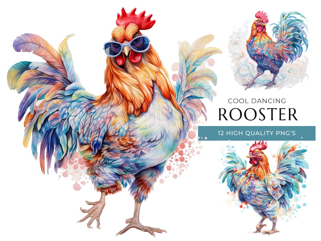 Cool Dancing Rooster Clipart, 12 High Quality Pngs, Funny Watercolor ...
