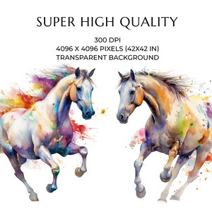 Watercolor Horse Clipart Bundle, 16 High Quality Pngs, Instant Digital ...