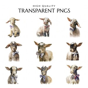 Baby Goat With Bow Tie Watercolor Clipart of 9 Pngs, Farm Animals Baby ...