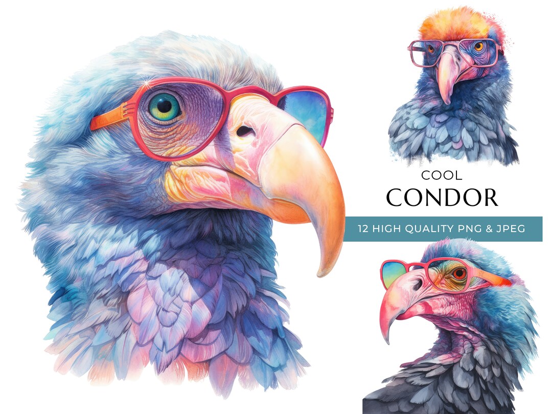 Watercolor Condor Clipart With Sunglasses, 12 High-quality PNG & JPEG ...