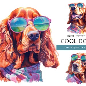 Cool Irish Setter Dog Clipart, 11 High Quality Pngs, Funny Dogs With ...