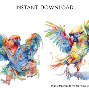 Cool Dancing Parrot Clipart, 12 High Quality Pngs, Funny Watercolor ...
