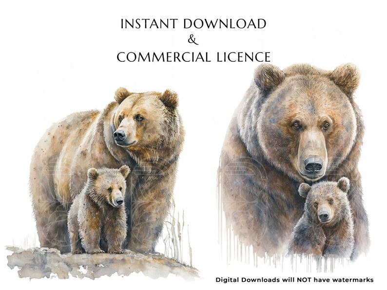 Mom and Baby Bear Clipart 10 High Quality Pngs Watercolor - Etsy