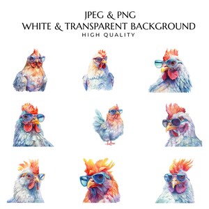 Watercolor Chicken Clipart With Sunglasses: Farm Animal PNG JPEG ...