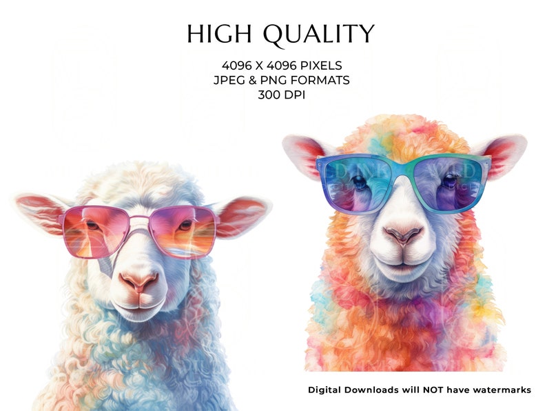 Watercolor Sheep Clipart With Sunglasses 13 High-quality PNG - Etsy