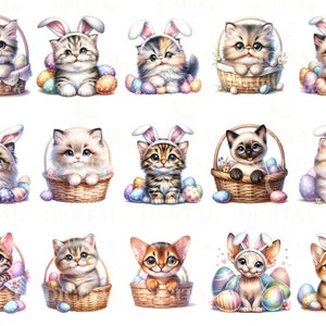 Easter Cats Clipart Bundle 55 High Quality PNG & JPEG, Watercolor Cute ...