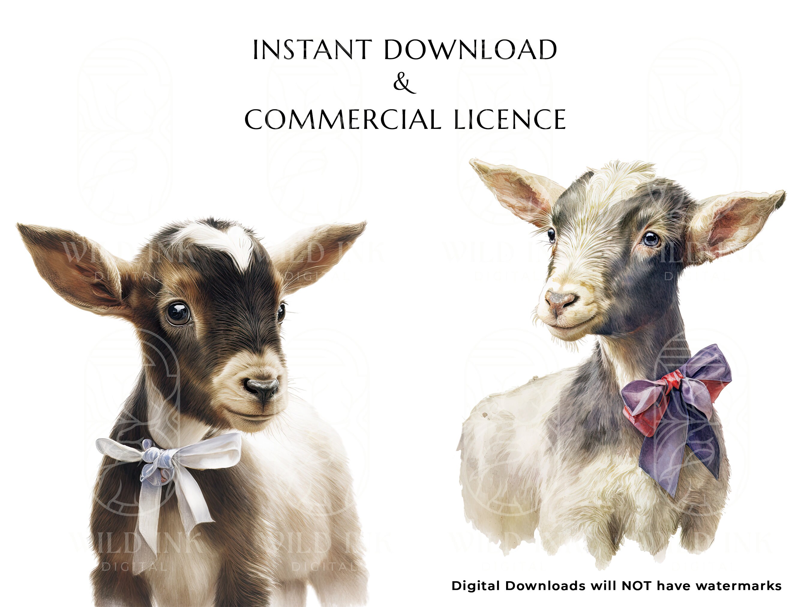 Baby Goat With Bow Tie Watercolor Clipart of 9 Pngs Farm - Etsy