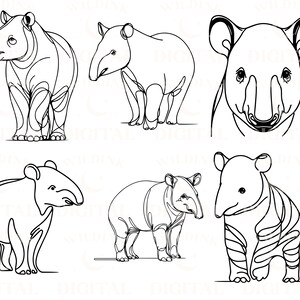 Tapir SVG Clipart, Minimalist Line Art, Logo Animal Vector, Modern Art ...