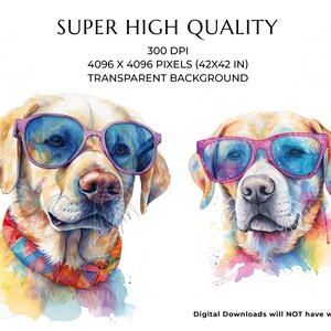 Cool Labrador Retriever Dog Clipart, 8 High Quality Pngs, Funny Dogs ...