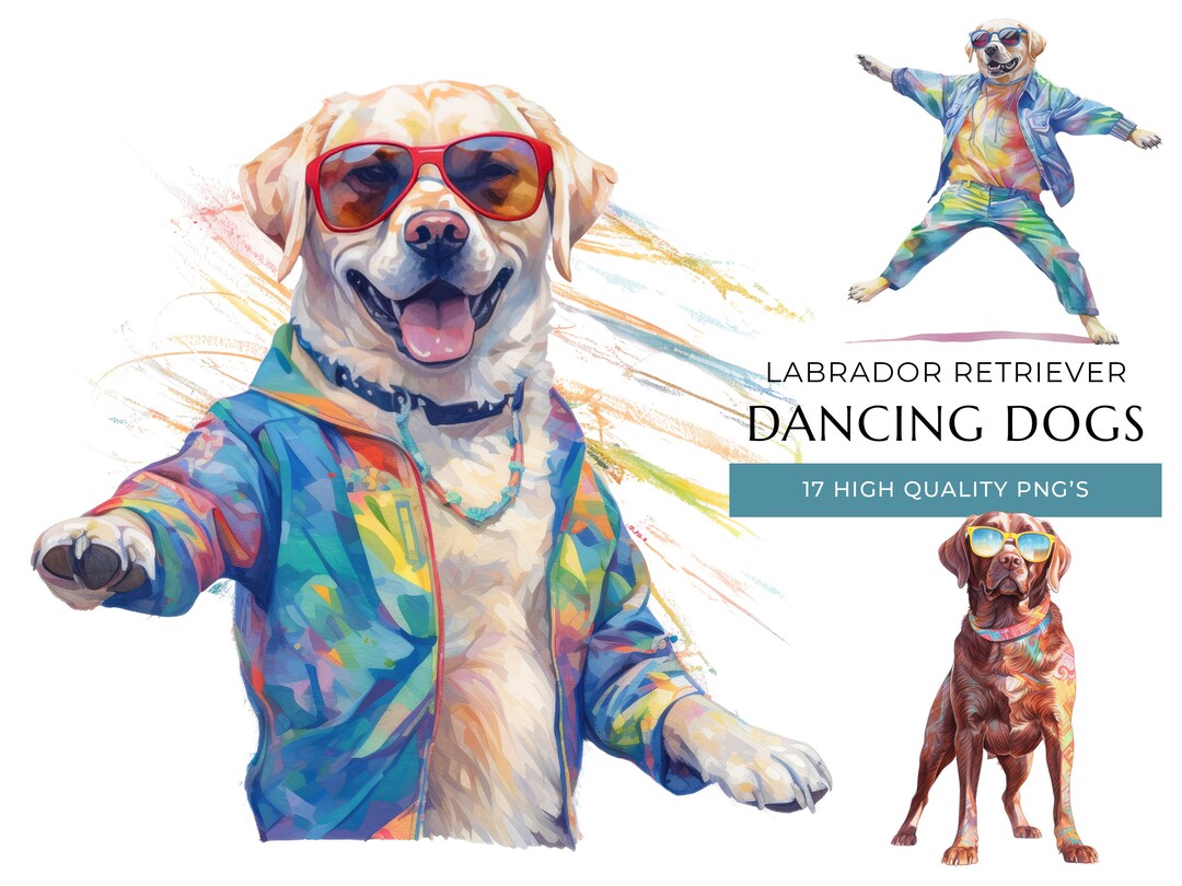 Cool Dancing Labrador Retriever Clipart, 17 High Quality PNG, Funny ...
