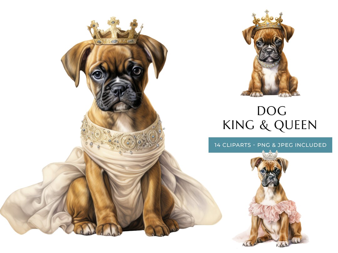 King & Queen Boxer Cute Puppy Watercolor Clipart - 18 High Quality PNG ...