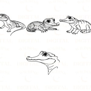 Gharial Line Art SVG: Minimalist Alligator Vector (digital Download) - Etsy