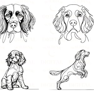 Boykin Spaniel SVG & PNG Clipart Bundle: Digital Line Art, Minimalist ...