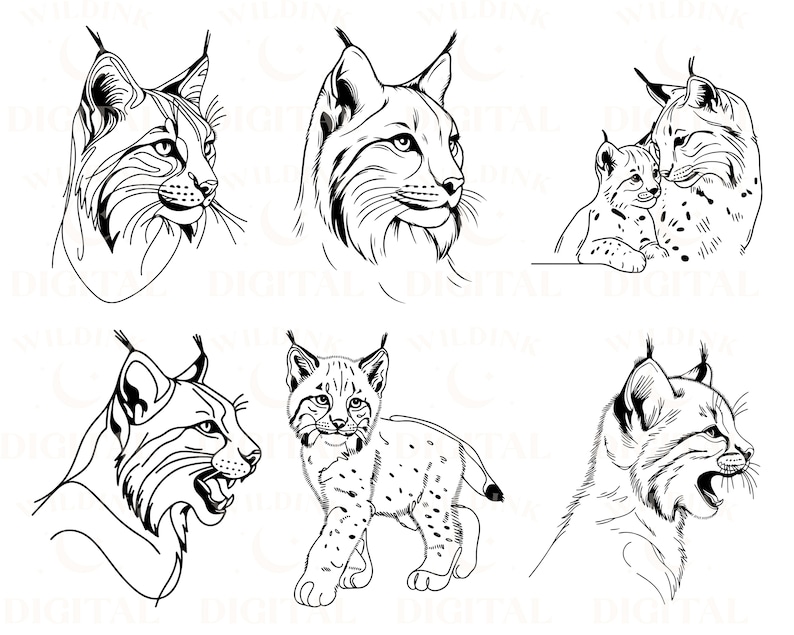 Lynx Line Art SVG Clipart: Feline Vector Graphics (digital Download) - Etsy