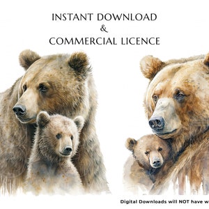 Mom and Baby Bear Clipart, 10 High Quality Pngs, Watercolor Cute Mama ...