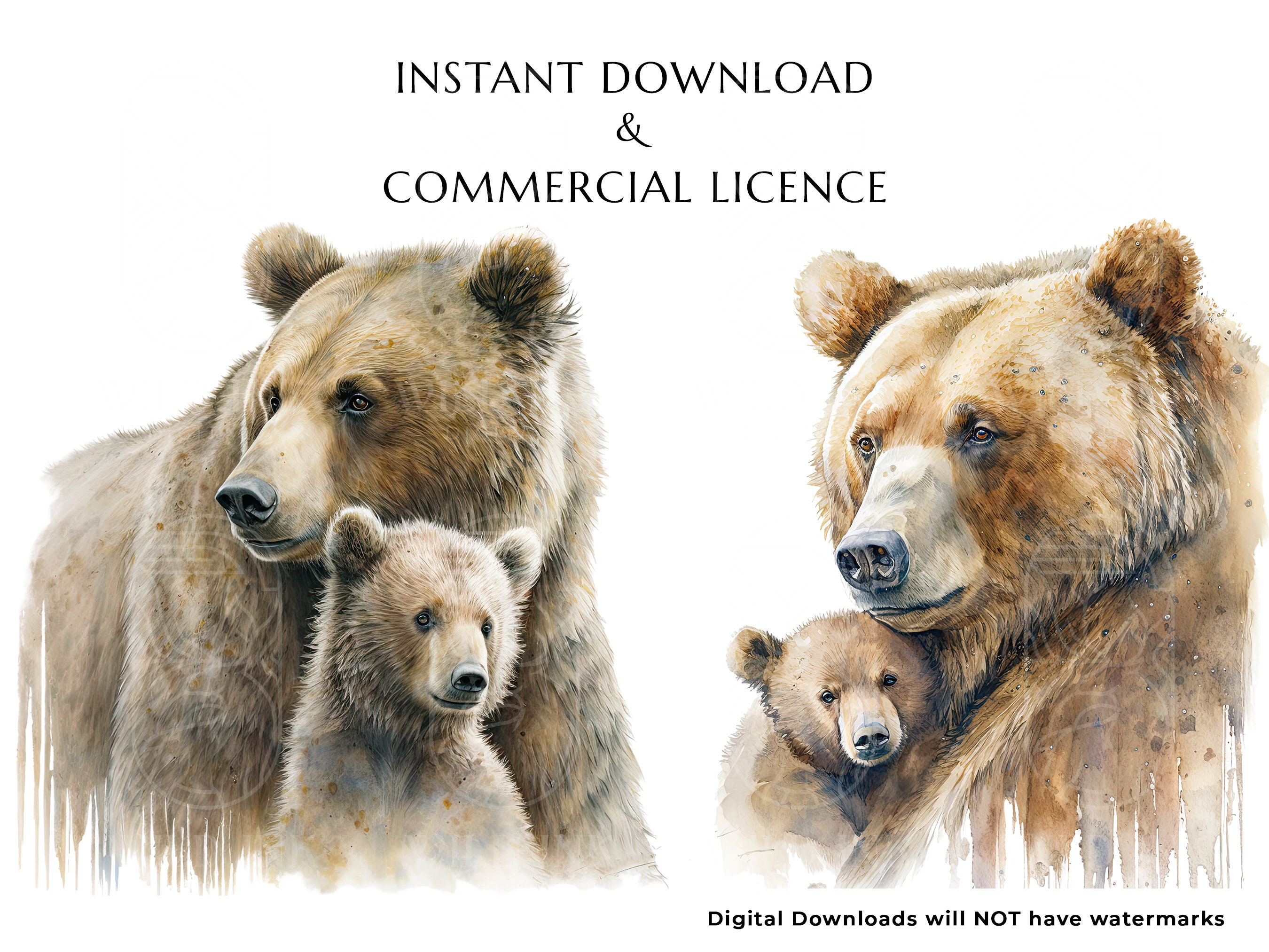 Mom and Baby Bear Clipart 10 High Quality Pngs Watercolor - Etsy