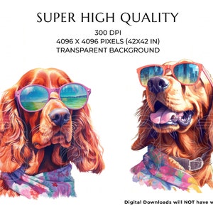 Cool Irish Setter Dog Clipart, 11 High Quality Pngs, Funny Dogs With ...