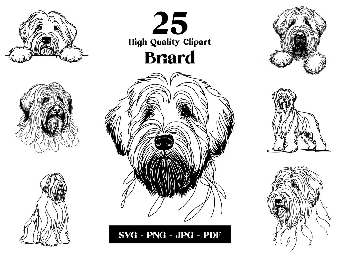 Pacote de clipart SVG e PNG de cachorro Briard: arte de linha digital ...