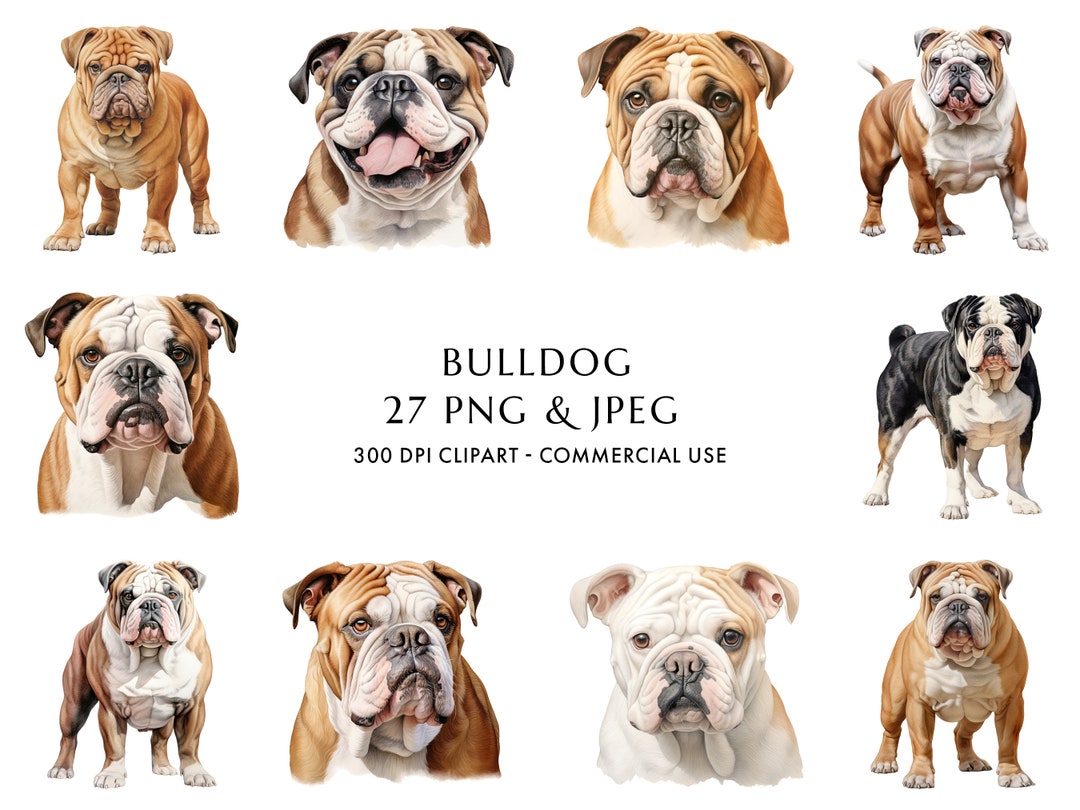 Watercolor Bulldog Clipart Bundle, Dog Mom Gift (digital Download) - Etsy
