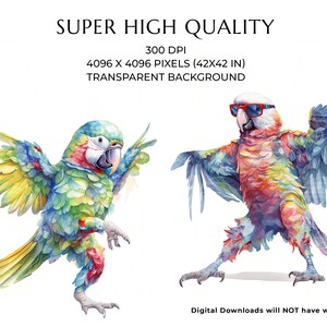 Cool Dancing Parrot Clipart, 12 High Quality Pngs, Funny Watercolor ...