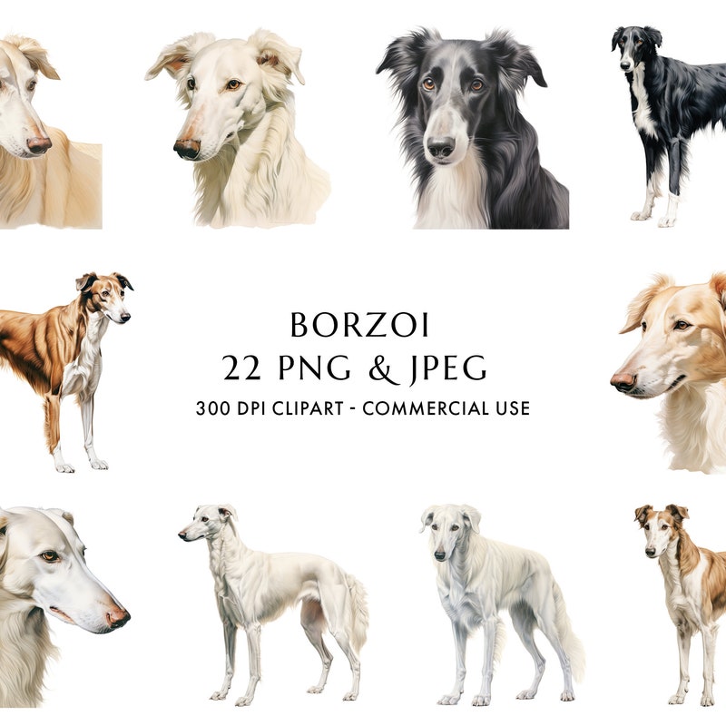 Borzoi - Etsy
