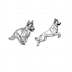 Dutch Shepherd SVG & PNG Clipart Bundle: Digital Line Art, Minimalist ...