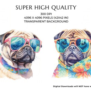 Cool Pug Dog Clipart, 11 High Quality Pngs, Funny Dogs With Sunglasses ...