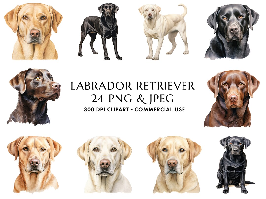 Watercolor Labrador Retriever Clipart Bundle, Dog Mom and Dad Gift ...