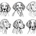 Irish Setter Line Art: Minimalist Dog SVG PNG Clipart (digital Download ...