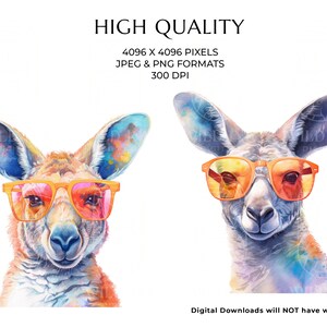 Watercolor Kangaroo Clipart With Sunglasses (digital Download) - Etsy