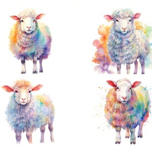 Sheep Clipart - 14 High Quality Pngs & JPEG - Colorful Watercolor Farm ...