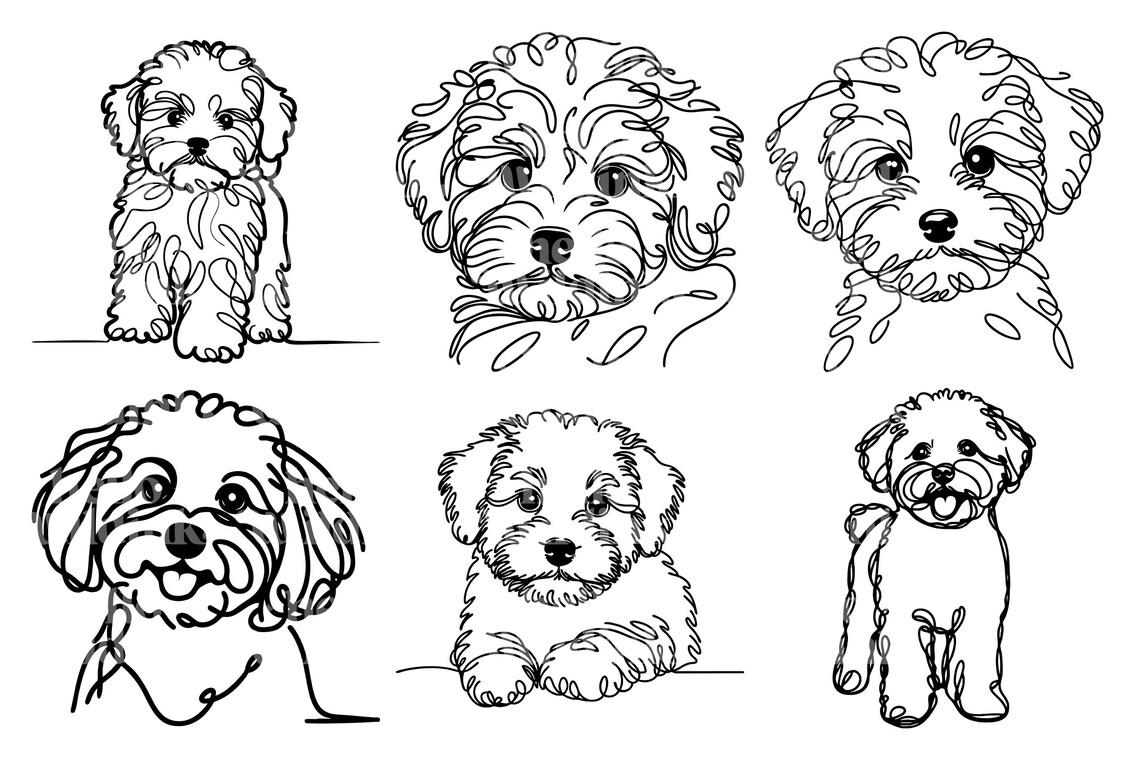 Maltipoo Line Art Clipart Bundle: Minimalist Dog SVG, PNG (digital ...