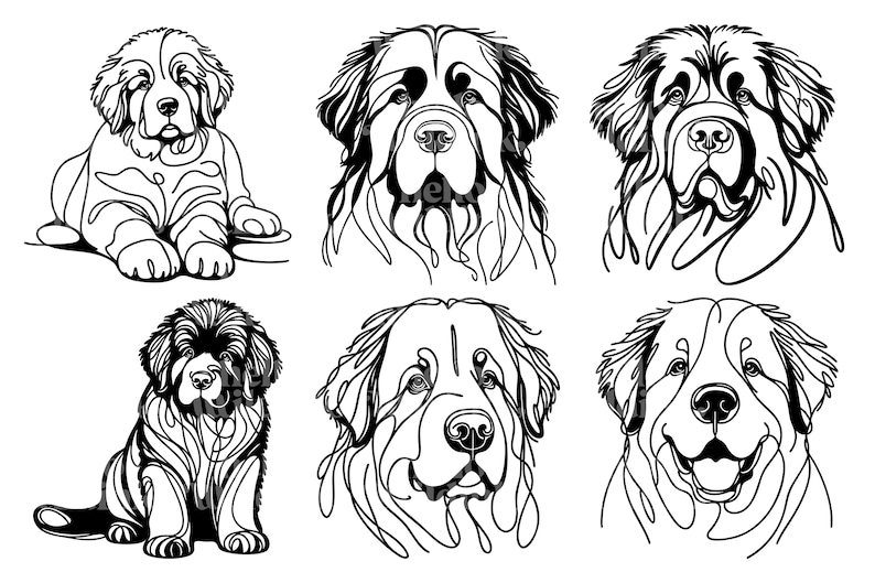 Newfoundland Dog Line Art Bundle: Minimalist SVG PNG Clipart (digital ...