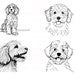 Cockapoo Line Art Clipart Bundle: Minimalist Dog Vector (digital ...