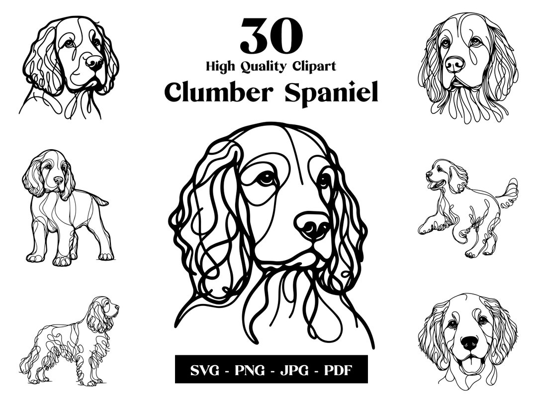 Clumber Spaniel SVG & PNG Clipart Bundle: Digital Line Art, Minimalist ...
