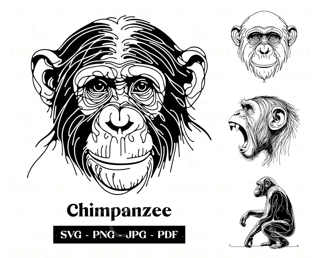 Chimpanzee SVG Clipart, Minimalist Line Art, Monkey Logo Vector, Modern ...