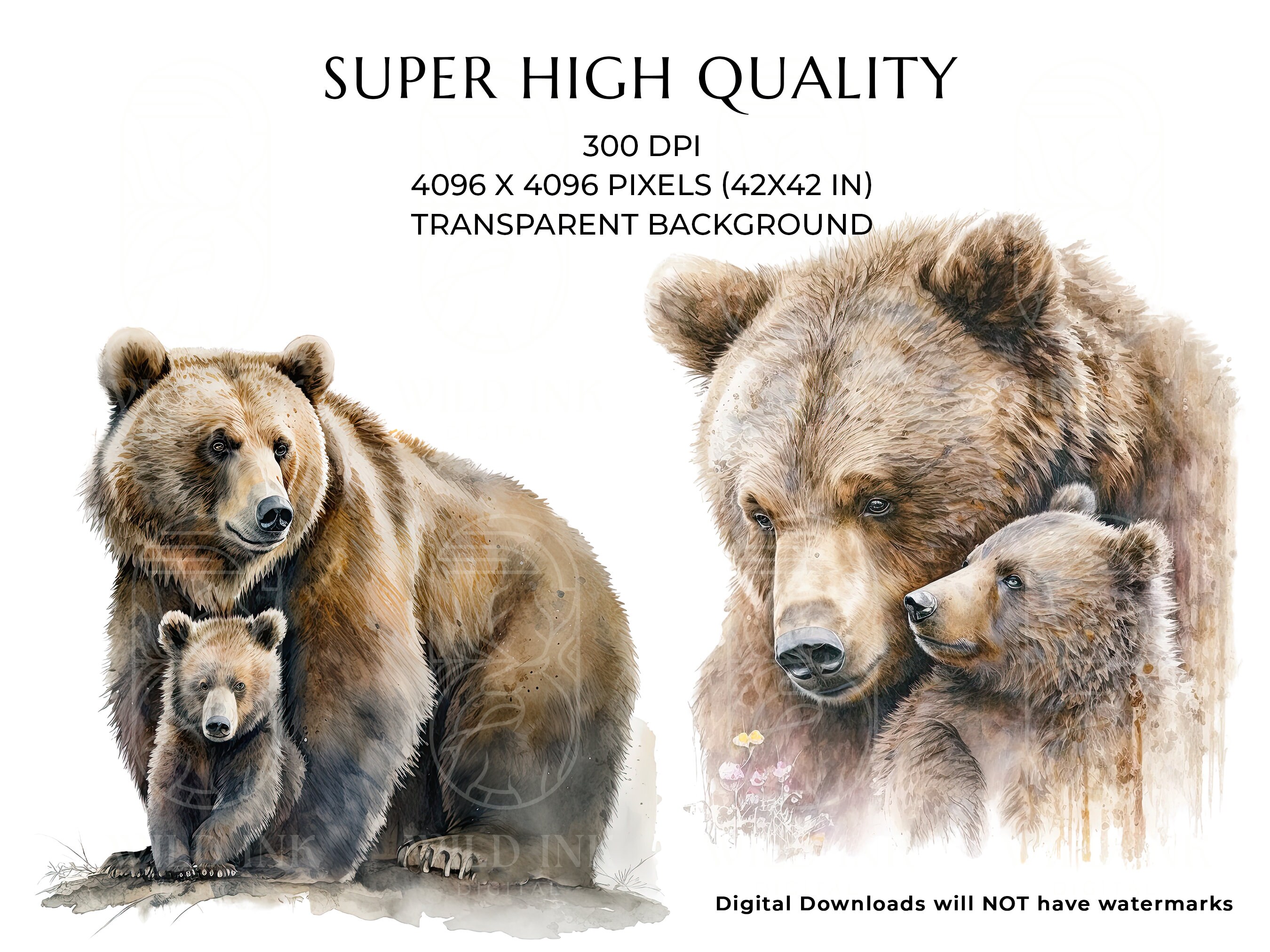 Mom and Baby Bear Clipart 10 High Quality Pngs Watercolor - Etsy