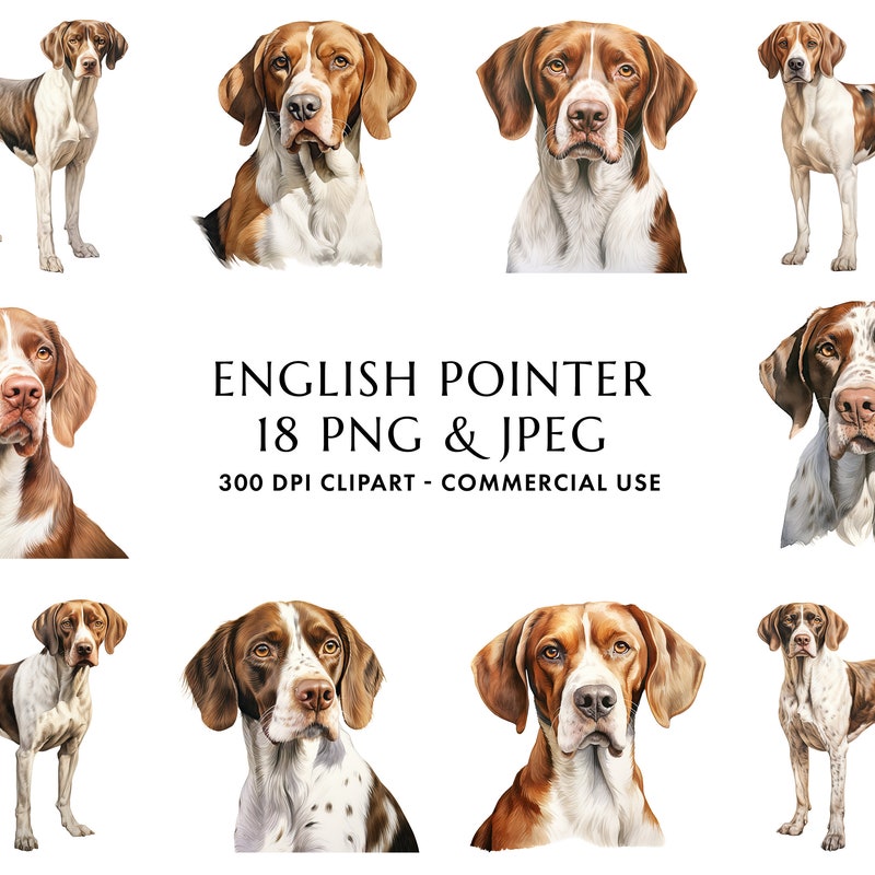 English Pointer Art - Etsy