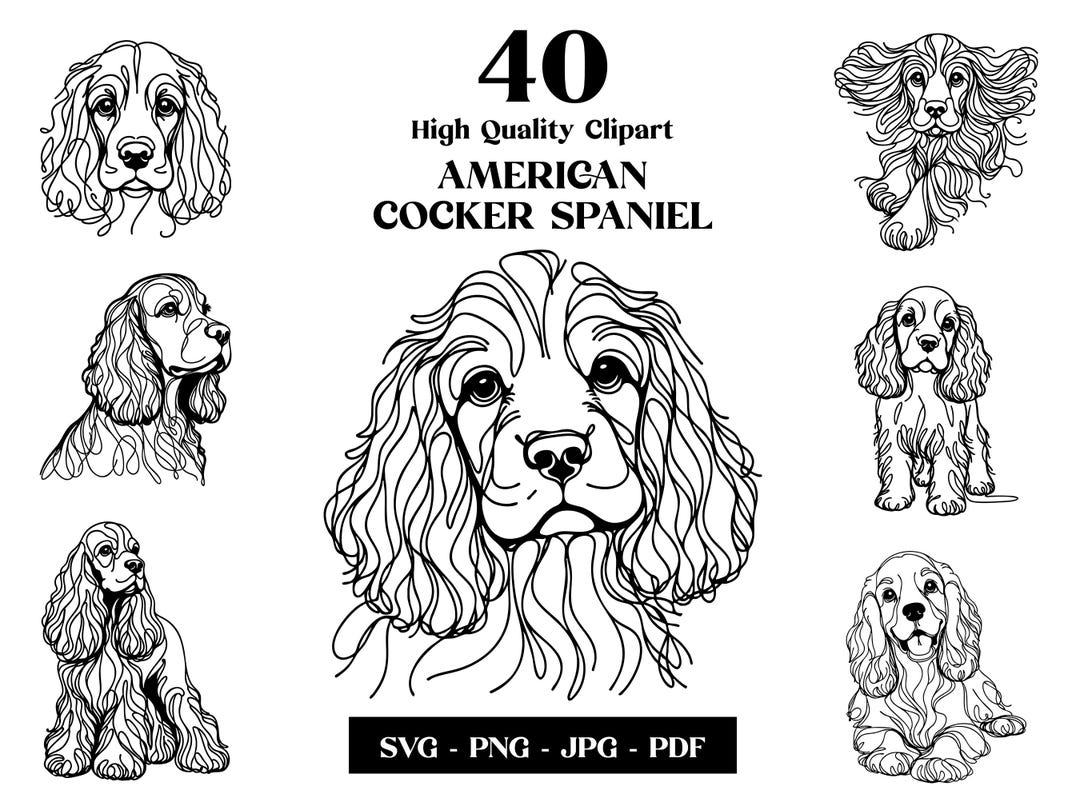 American Cocker Spaniel Line Art Clipart Bundle (digital Download) - Etsy