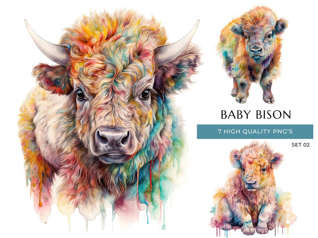 Baby Bison Colorful Watercolor Clipart 7 Pngs, Cute Wildlife Art for ...